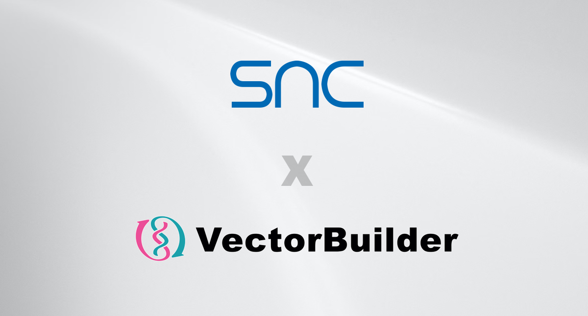 ★벡터빌더(Vectorbuilder) "전 품목" 10% 할인 이벤트