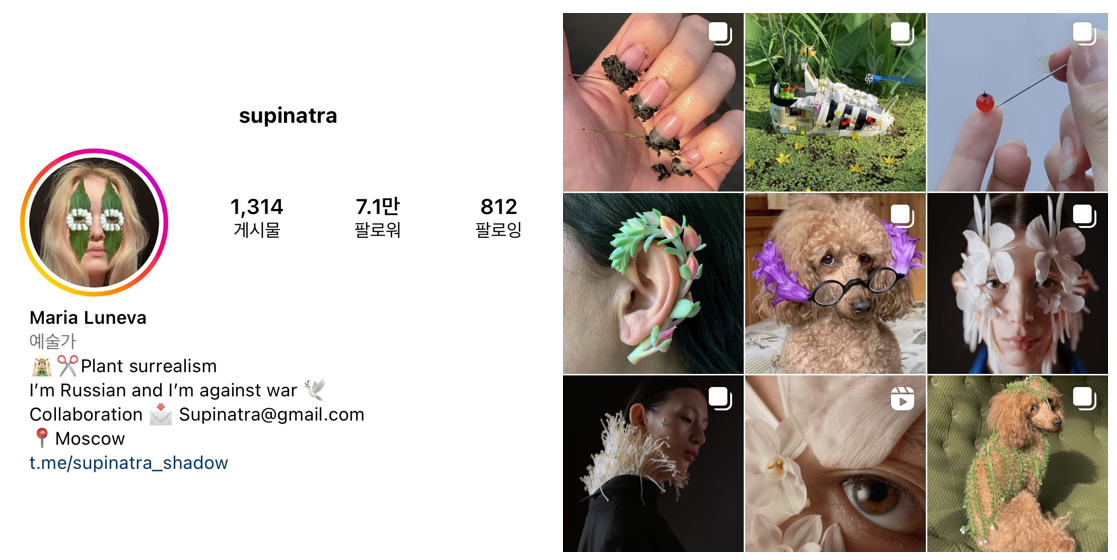 🪐플랜잇 4편: 가을이 찾아왔어요🌿