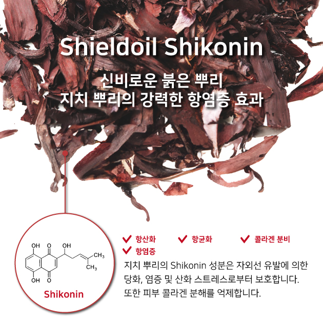 LABIO Newsletter vol.38] 신비로운 붉은 뿌리의 힘. Shieldoil Shikonin
